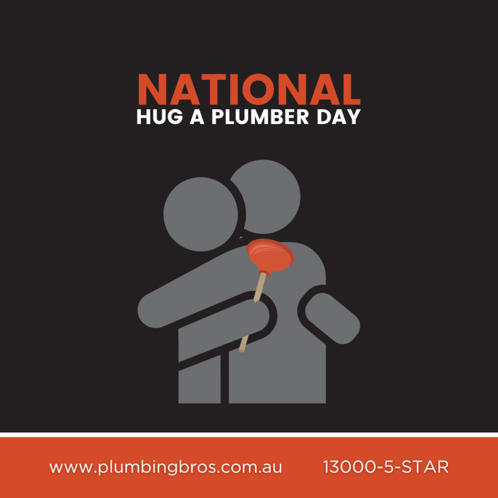 PB - National Hug a Plumber Day - Content Monarchy